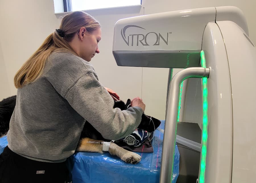CT Scans for Pets in Cleveland OH – West Park Animal Hospital